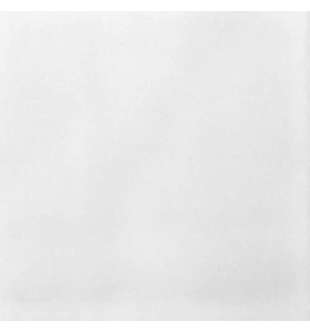 Handmade white tile - Hispalcerámica